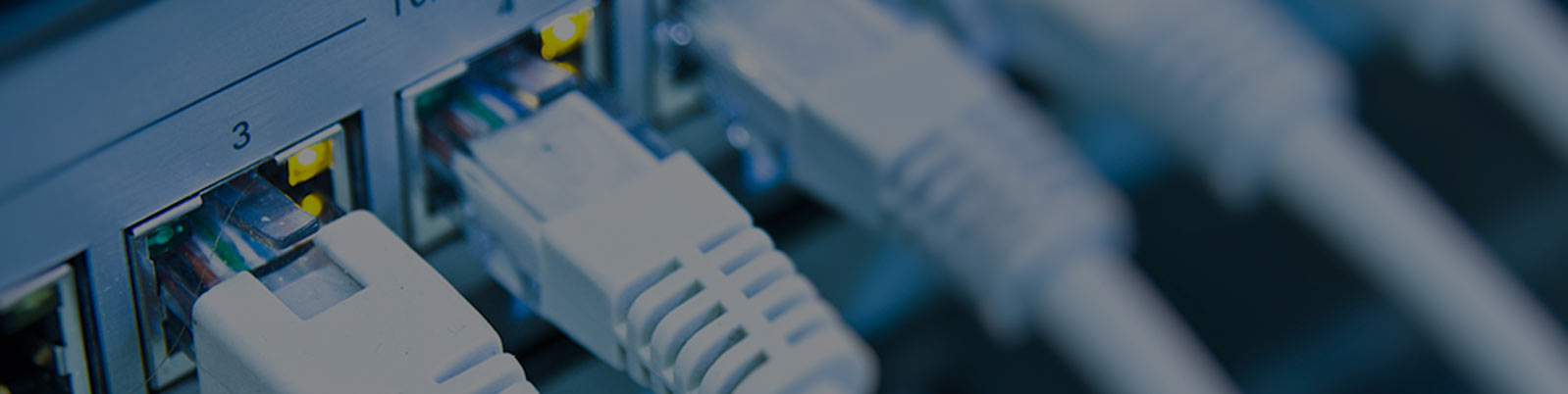 Case Studies - High Wire Networks